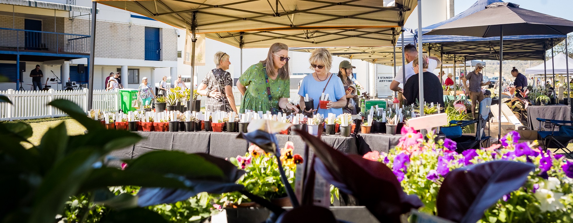 Markets | Whats On | Visit the Lockyer Valley