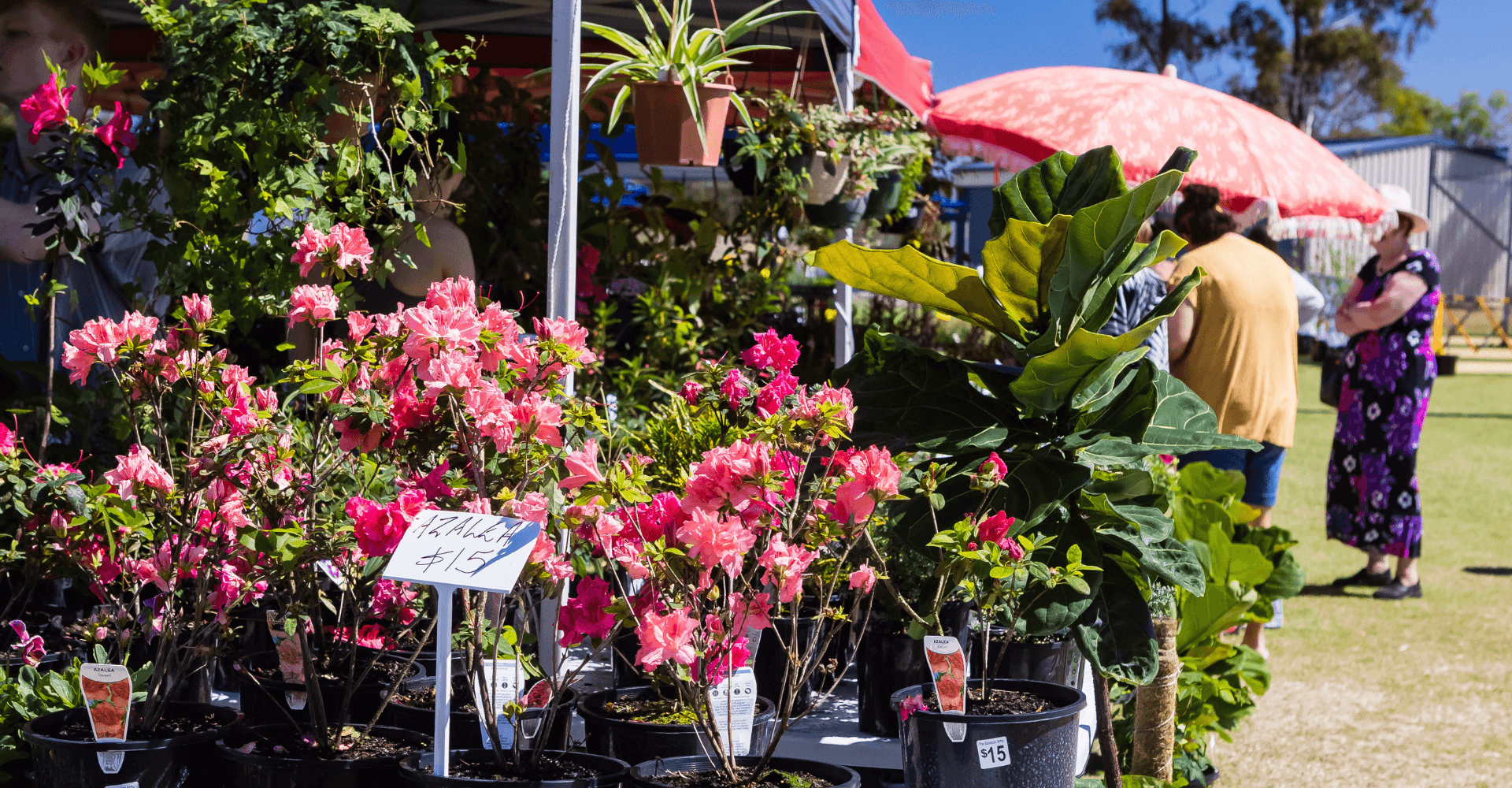 Markets | Whats On | Visit the Lockyer Valley