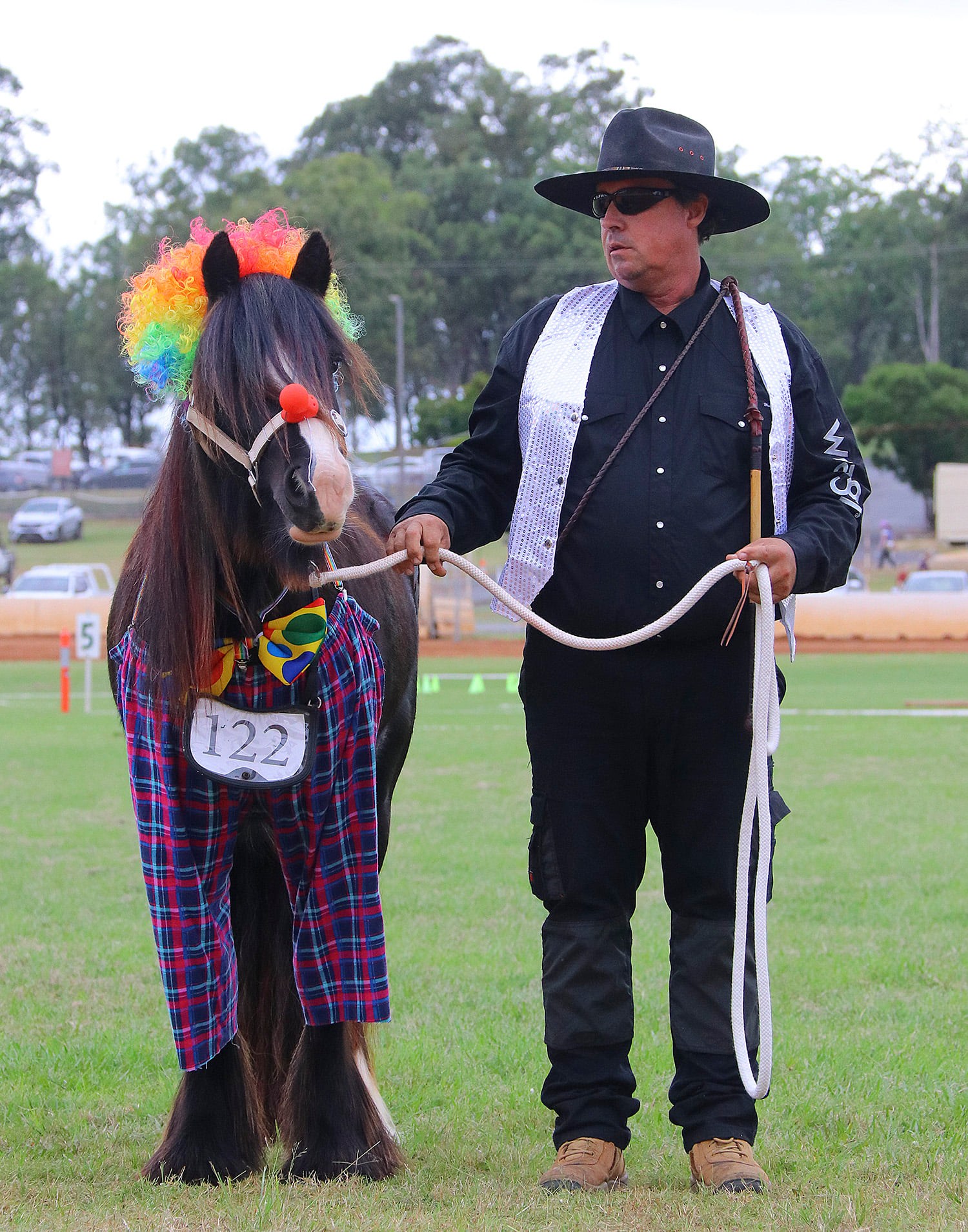 Lockyer Valley Visitor Information Centre - 2023 Clydesdale & Heavy ...