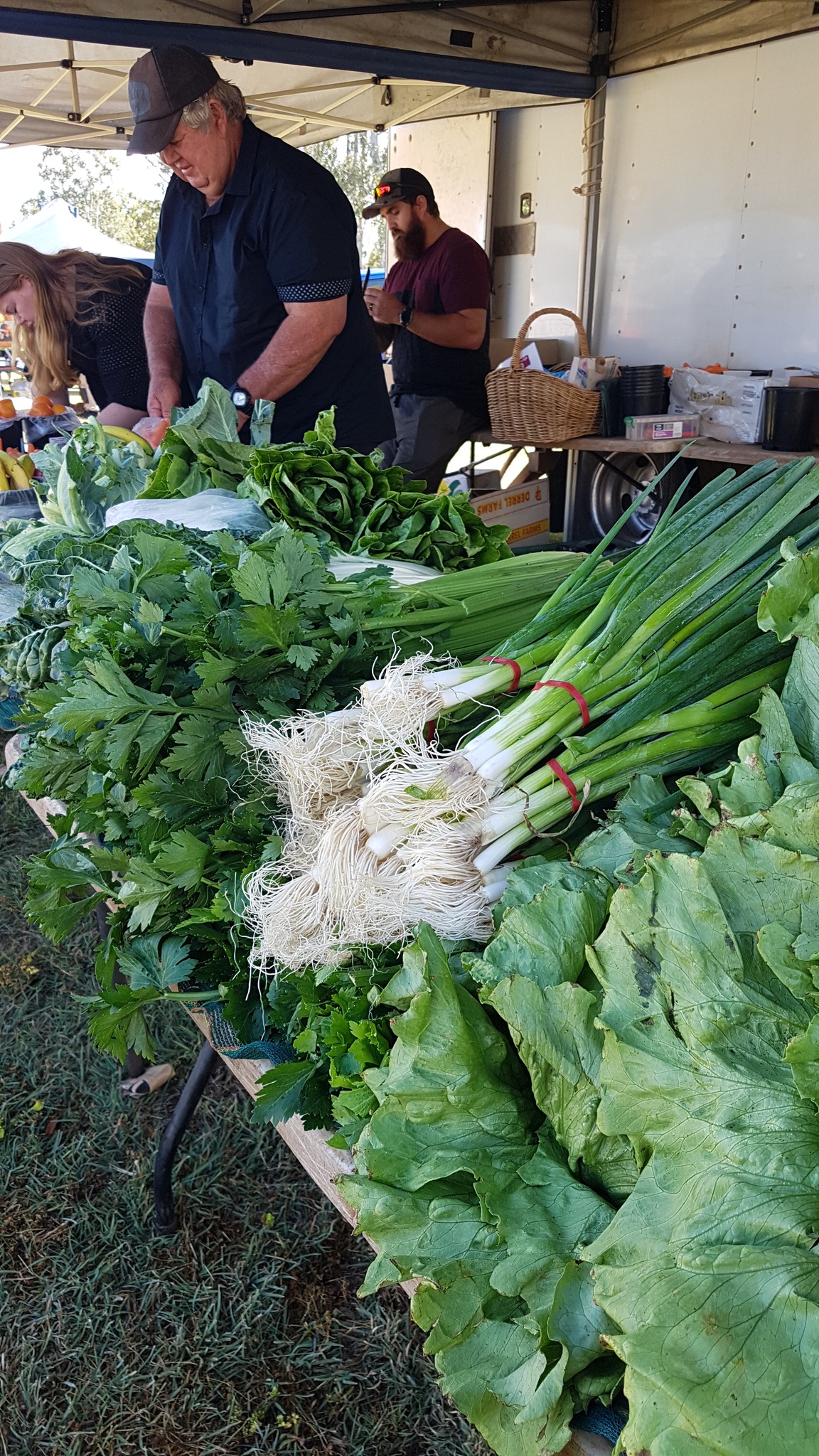 Lockyer Valley Visitor Information Centre - Gatton Markets