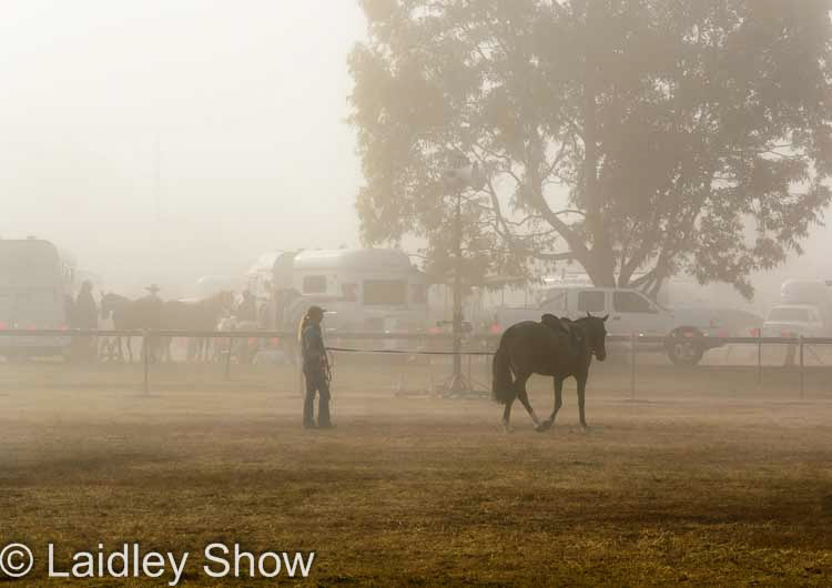 Laidley Show 2024, Sat 6th Jul 2024 - Sun 7th Jul 2024 8:00am - 7:30pm