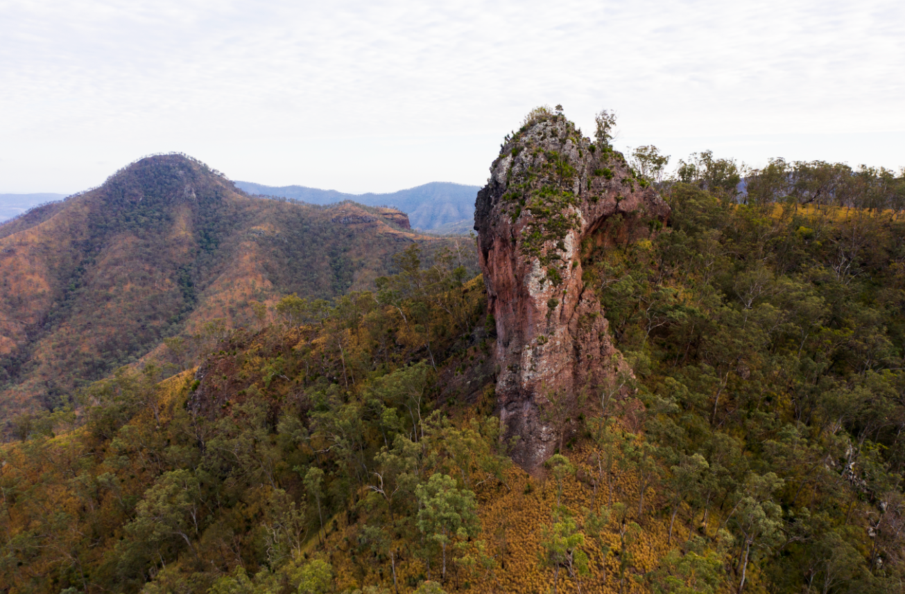 Lockyer Valley Visitor Information Centre - Glen Rock State Forest Camping