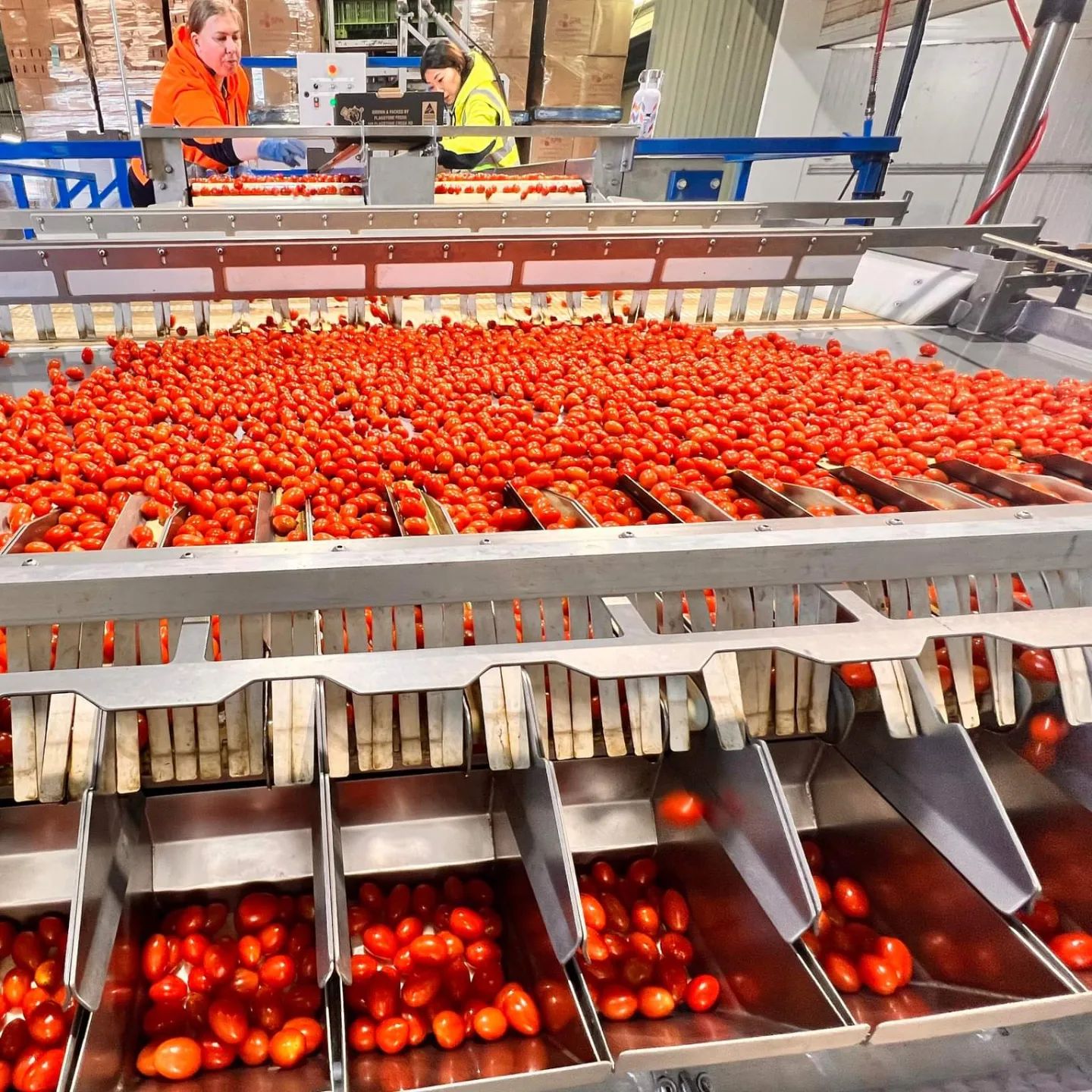 Lockyer Valley Visitor Information Centre - Flagstone Fresh