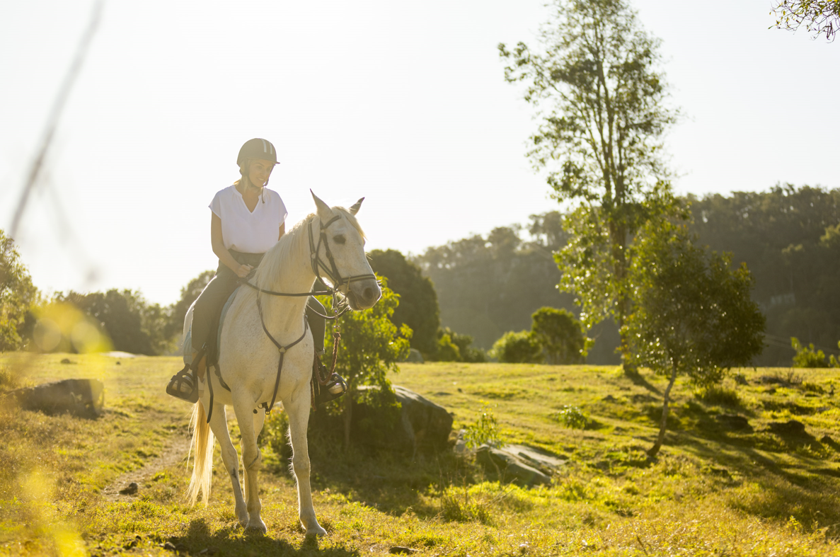 Lockyer Valley Visitor Information Centre - Fordsdale Horseback Adventures