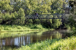 Lockyer Valley Visitor Information Centre - Narda Lagoon & Lions Park