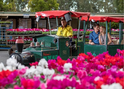 Lockyer Valley Visitor Information Centre - Pohlmans Nursery
