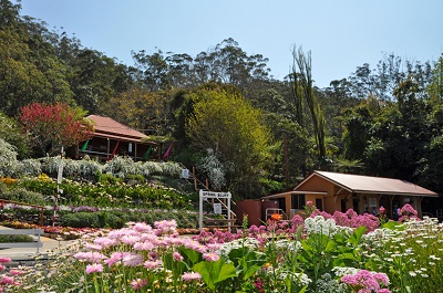 Lockyer Valley Visitor Information Centre - Spring Bluff Railway Station